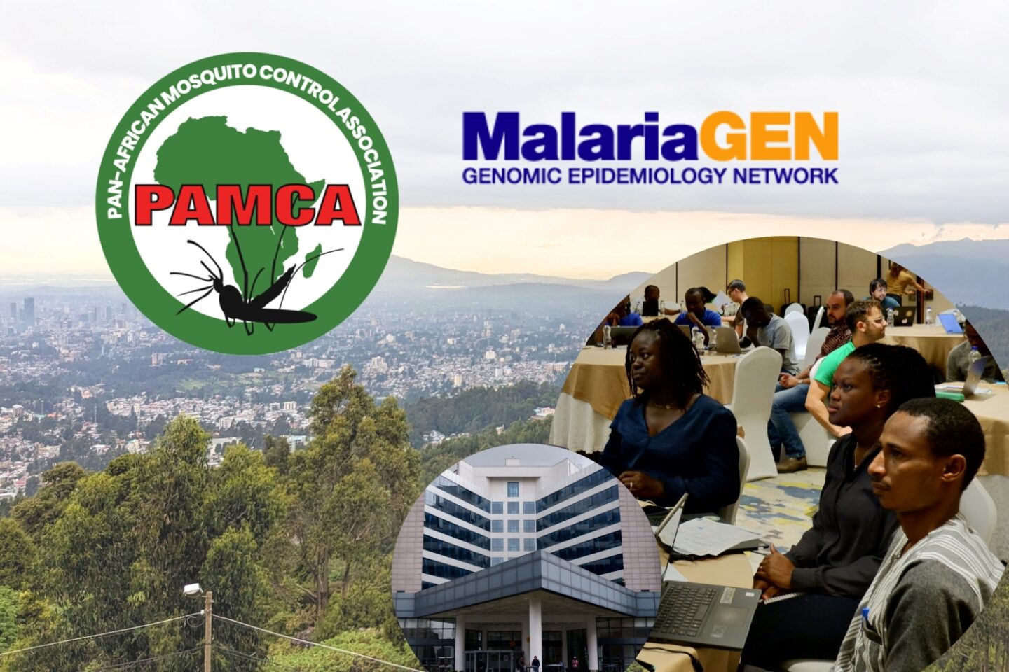 MalariaGEN’s guide to PAMCA 2023