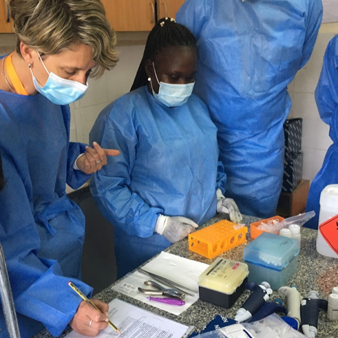 Beyond boundaries - three women shaping the future of malaria control