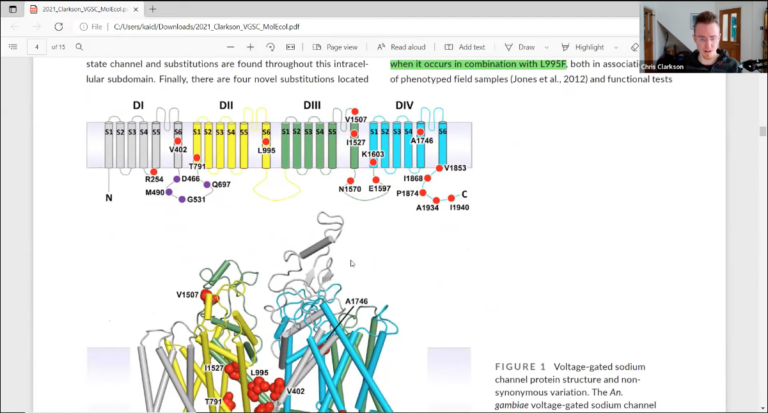 Malaria Vector Genome Observatory